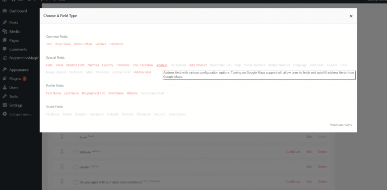 How to autocomplete address field of registration form in WordPress - RegistrationMagic
