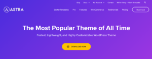 List of top WordPress themes compatible with RegistrationMagic
