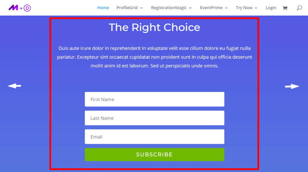 Lead Generation Forms - All you should know (Complete Guide)