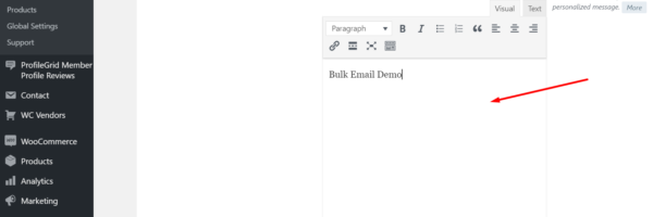 A Complete Guide on Bulk Emails [Expert Tips and Solutions]